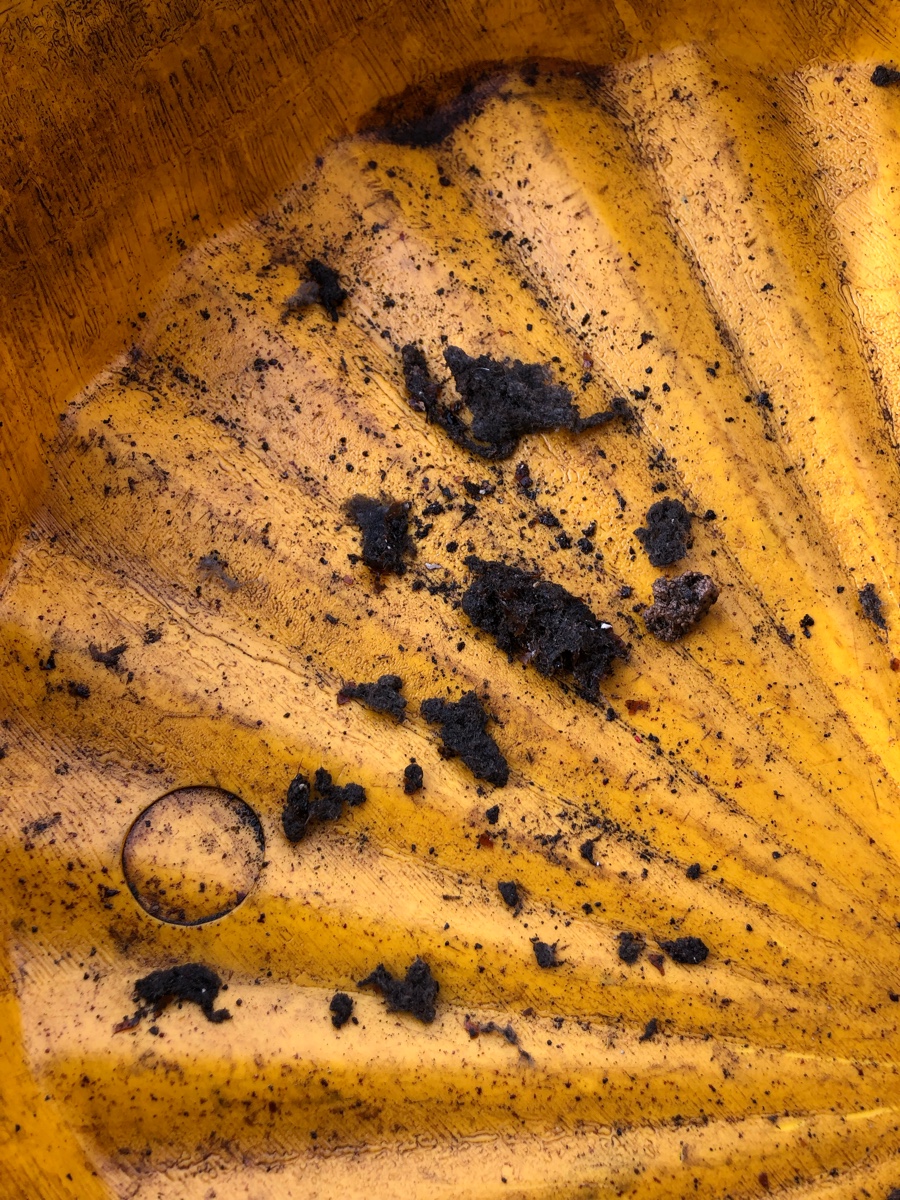 Tank Cleaning : Post Service Report | Zenput