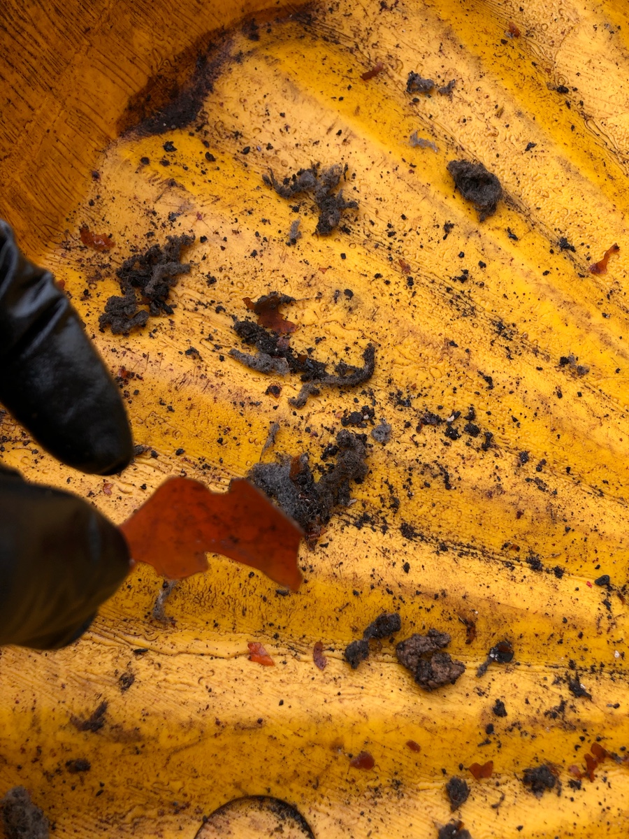 Tank Cleaning : Post Service Report | Zenput